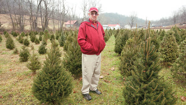 Tree farmer reviving Christmas spirit | The Tribune