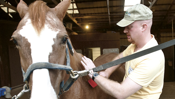 Saddle up partner | The Tribune