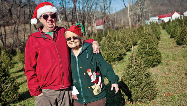 Pinkerman Farm knows tree business | The Tribune