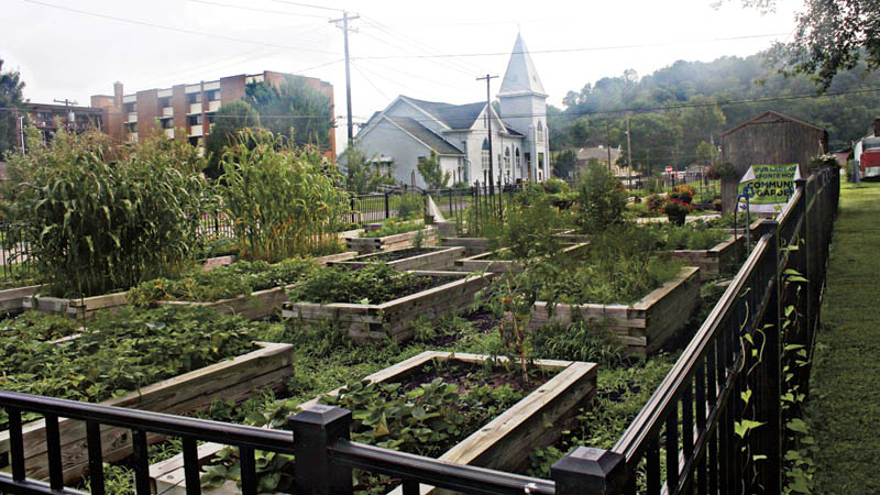 Community garden plots still available | The Tribune