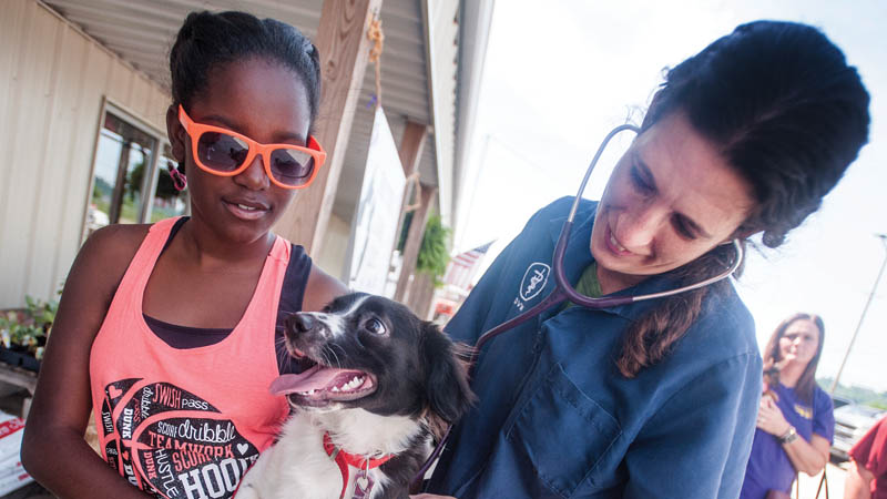 Nose to Tail - The Tribune | The Tribune