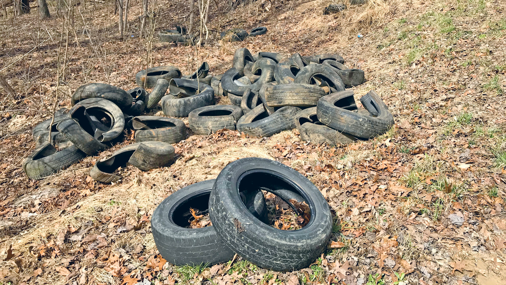 Illegal tire dumper sought - The Tribune | The Tribune