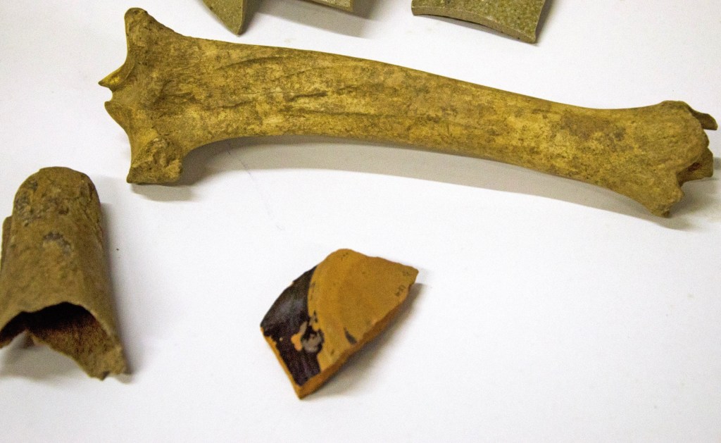 Giants among us: Skeletal remains gave rise to regional legends | The ...