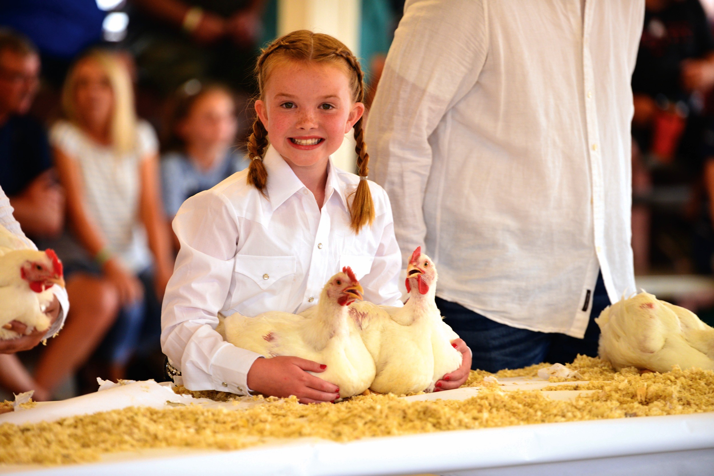 4-Hers show chickens at fair - The Tribune | The Tribune