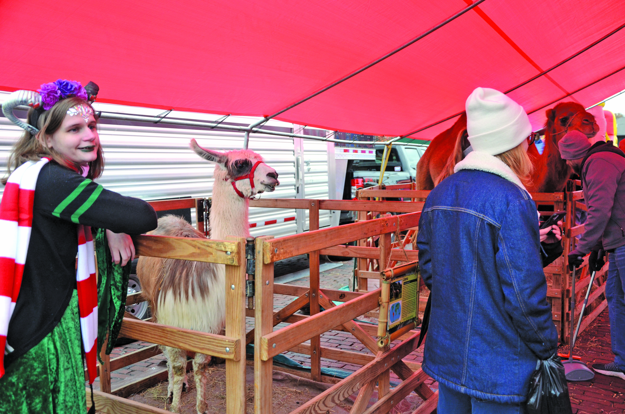 Gallery: Ironton Wizardfest 2021 - Vol 1 - The Tribune | The Tribune