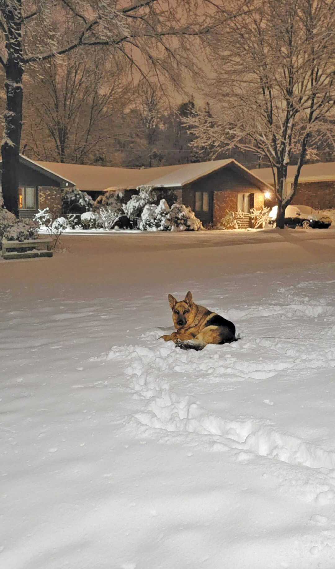 FOCUS: Snow much fun - The Tribune | The Tribune