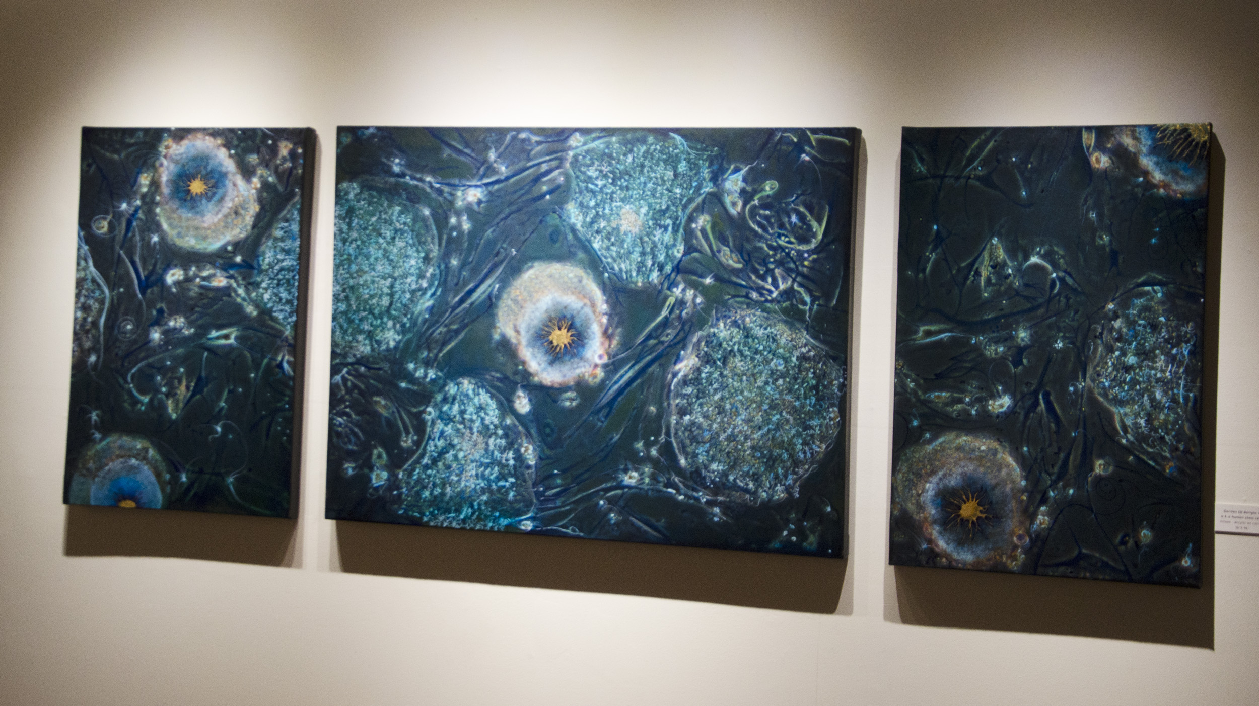 GALLERY: Finding life | The Tribune