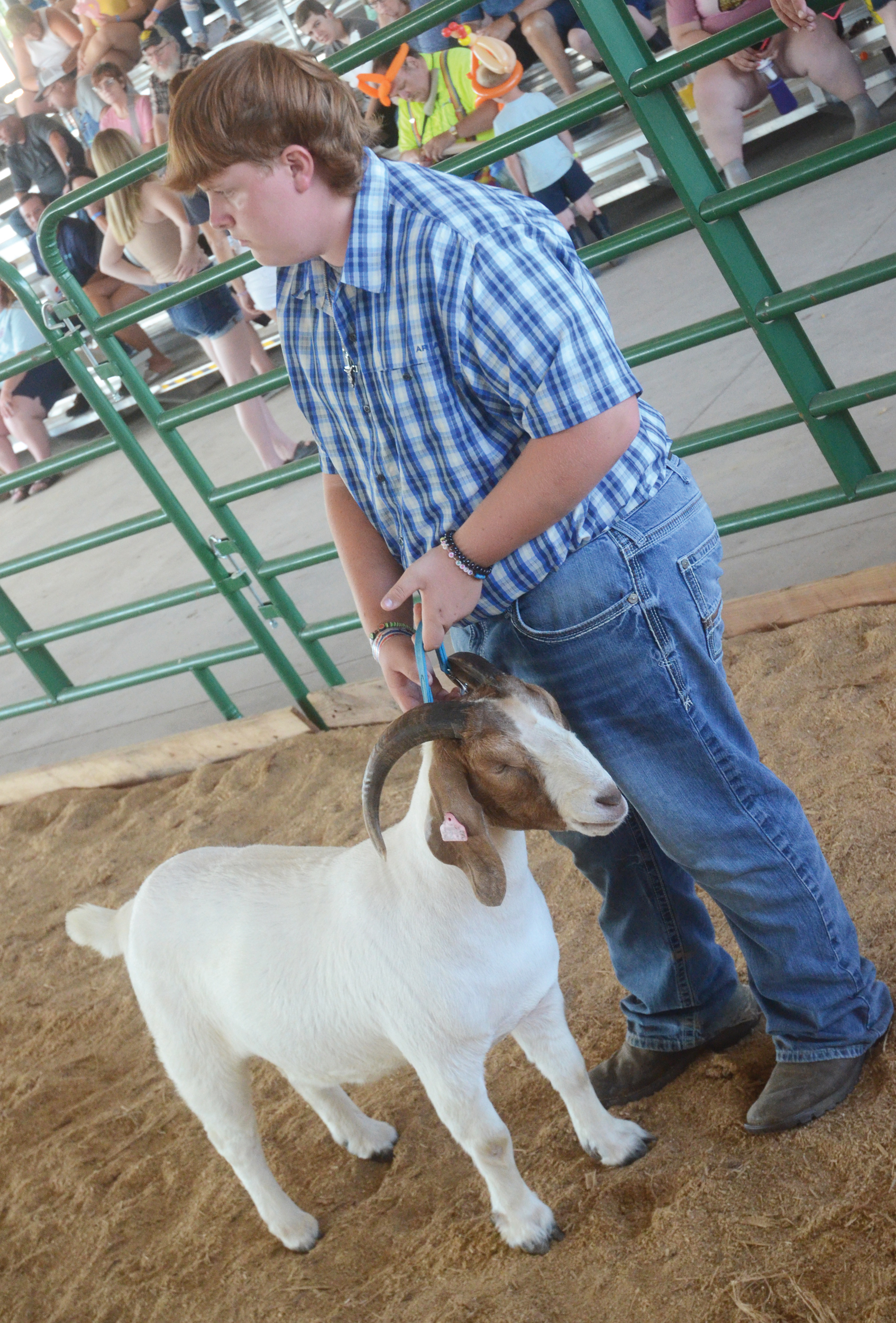 FOCUS: Lawrence County Fair scenes - The Tribune | The Tribune
