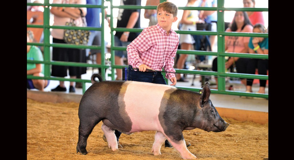 Lawrence County Fair 2023 dates announced | The Tribune