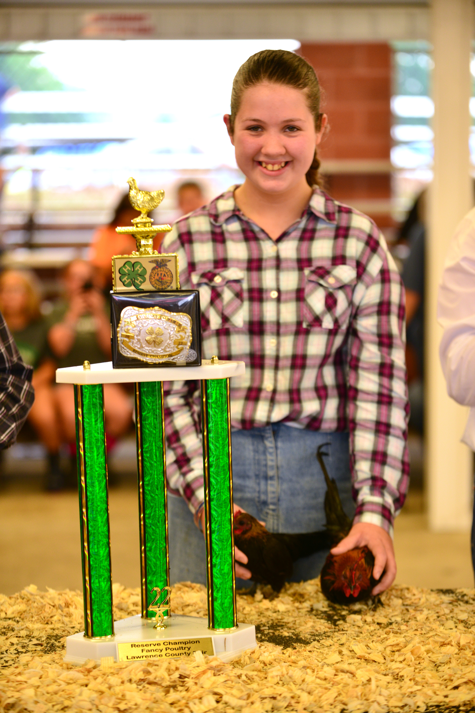 Chicken show opens fair animal events (WITH GALLERY) - The Tribune ...