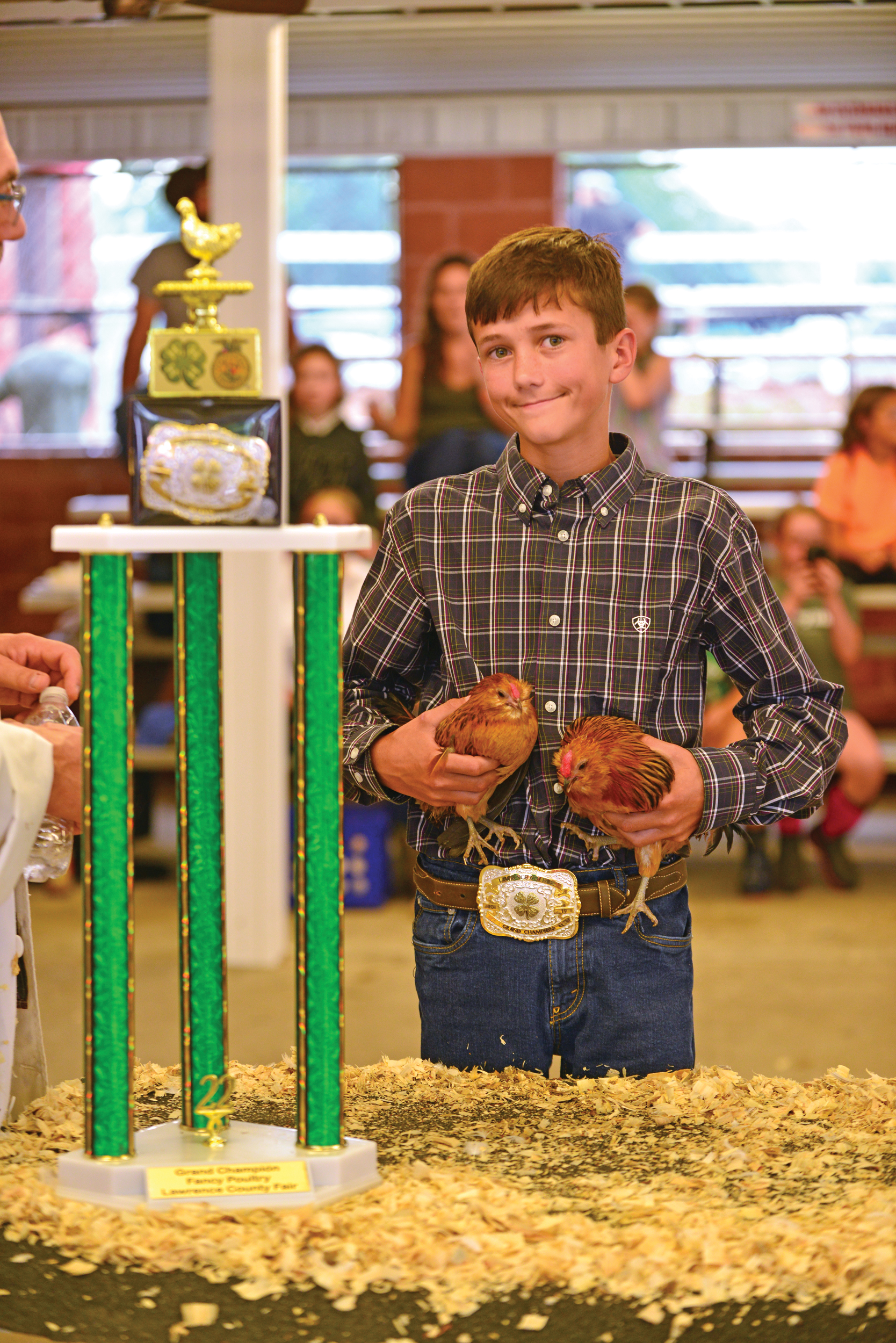Chicken show opens fair animal events (WITH GALLERY) - The Tribune ...