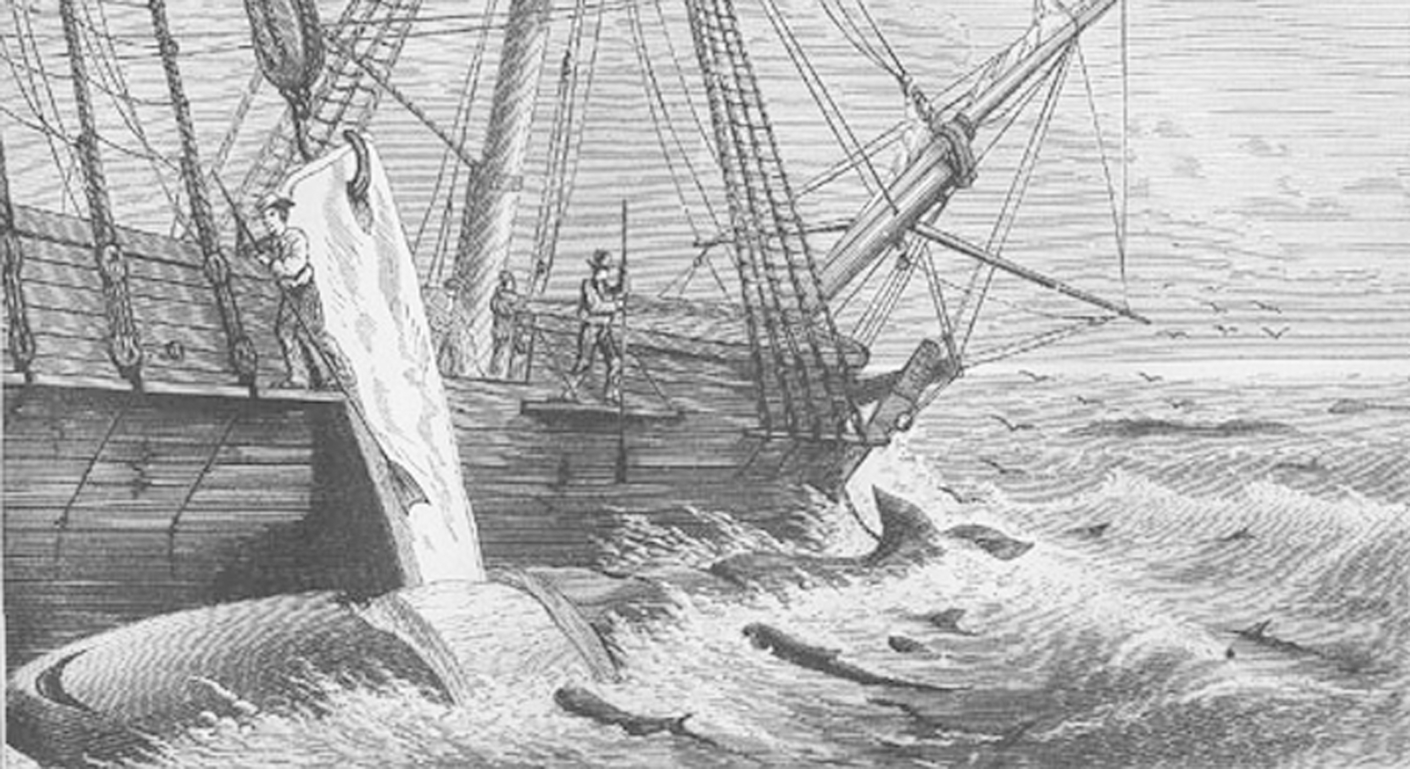 Strange, but true: ‘Thar she blows!’ – Whaling was major industry in ...