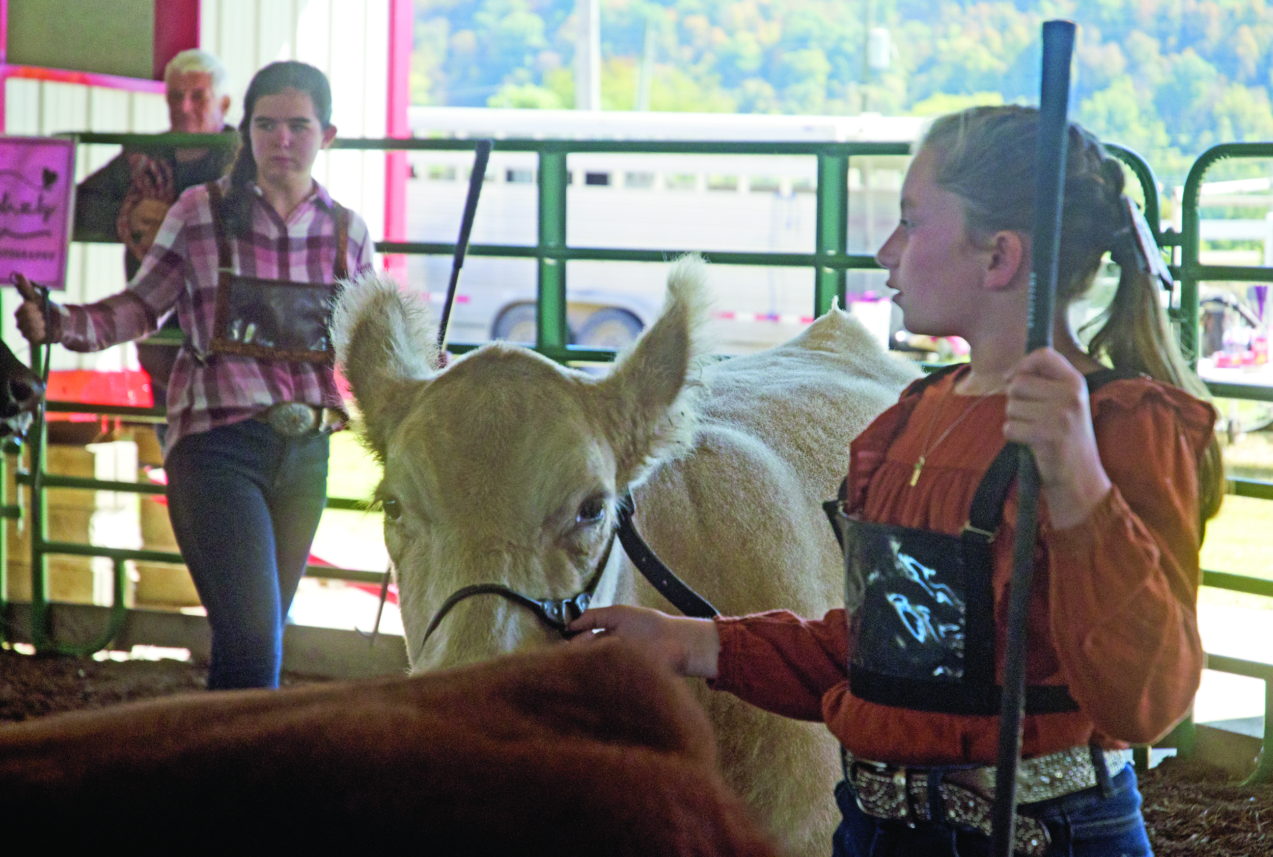 Gallery: Ring on the River - The Tribune | The Tribune