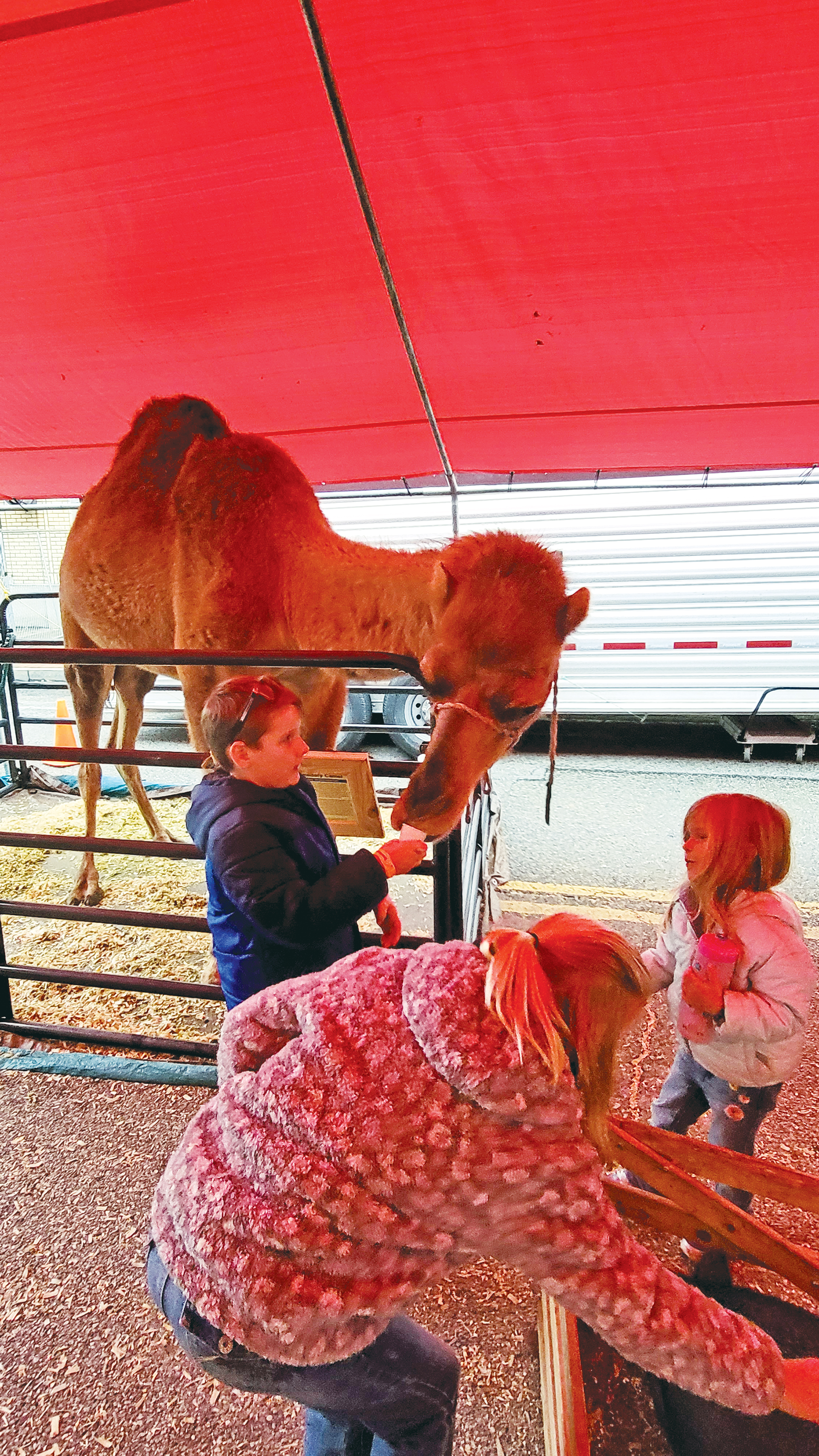 FOCUS: Ironton Wizardfest 2022 | The Tribune