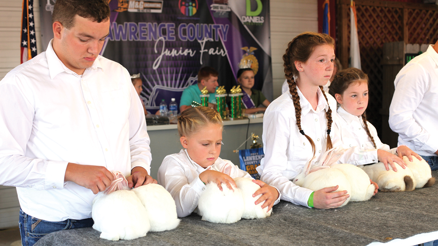 4-H ers show market rabbits at fair | The Tribune