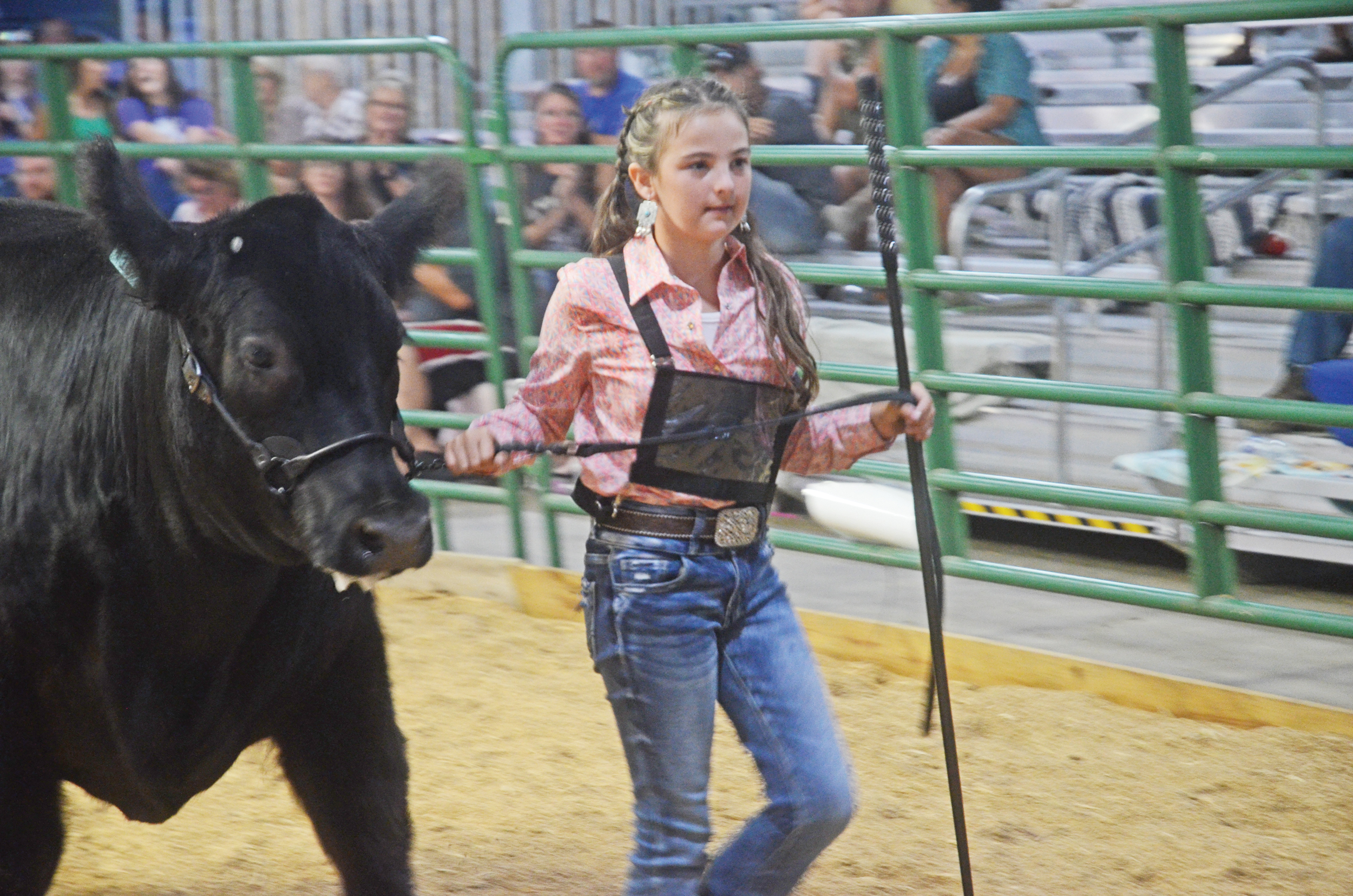 A grand debut - The Tribune | The Tribune