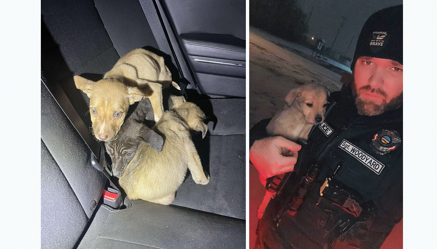 Police charge two Coal Grove with animal cruelty | The Tribune